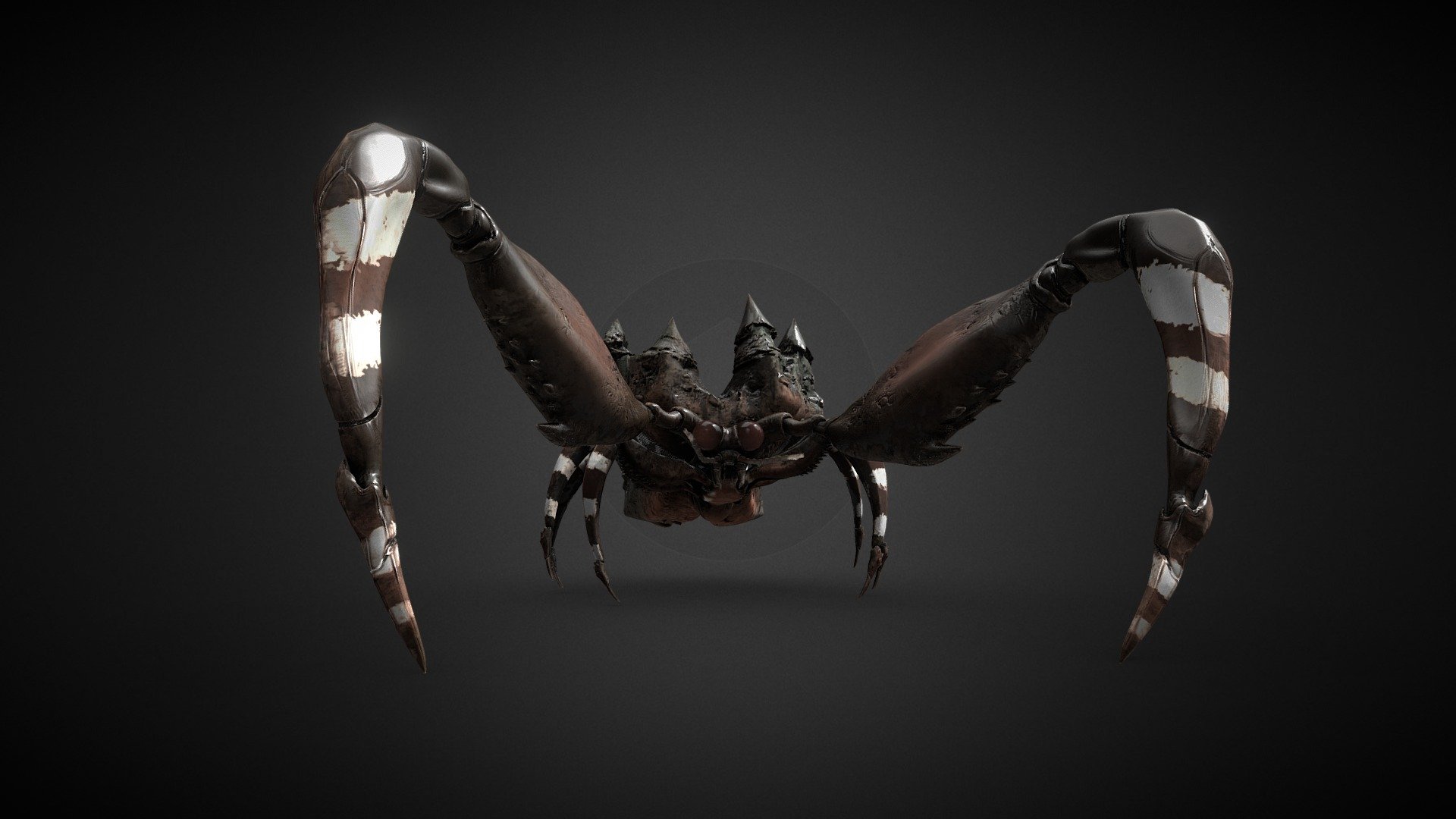 Stoney Bug - Buy Royalty Free 3D model by nataliedesign [3573136 ...