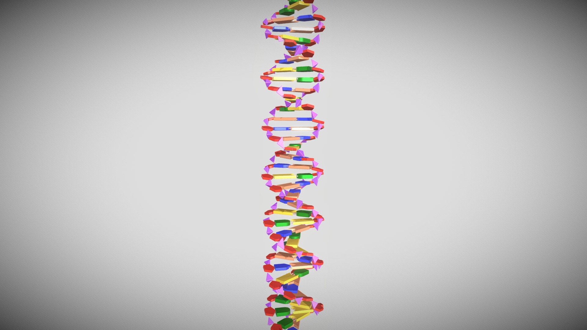 3D-Modell der DNA - Download Free 3D model by Steffi (@steffi12 ...