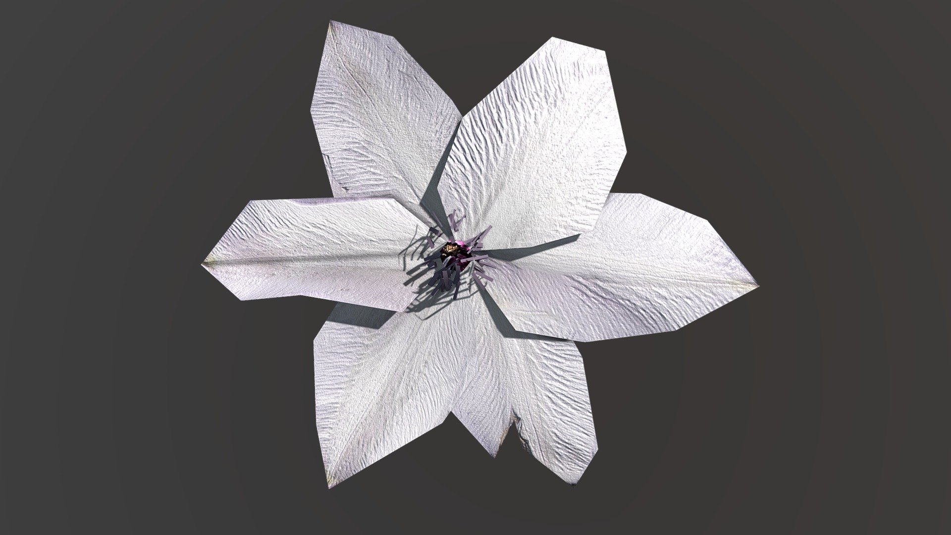 flower - 3D model by vaxlyk [357632e] - Sketchfab