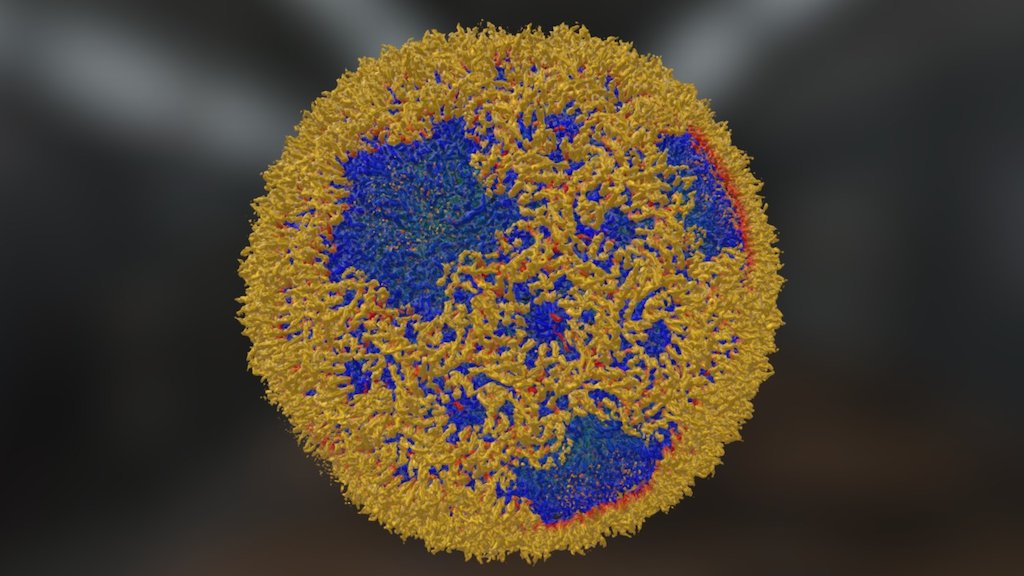 EMDB › EMD-3571 - 3D model by Interactive 3D Data (@proteinsimulation ...