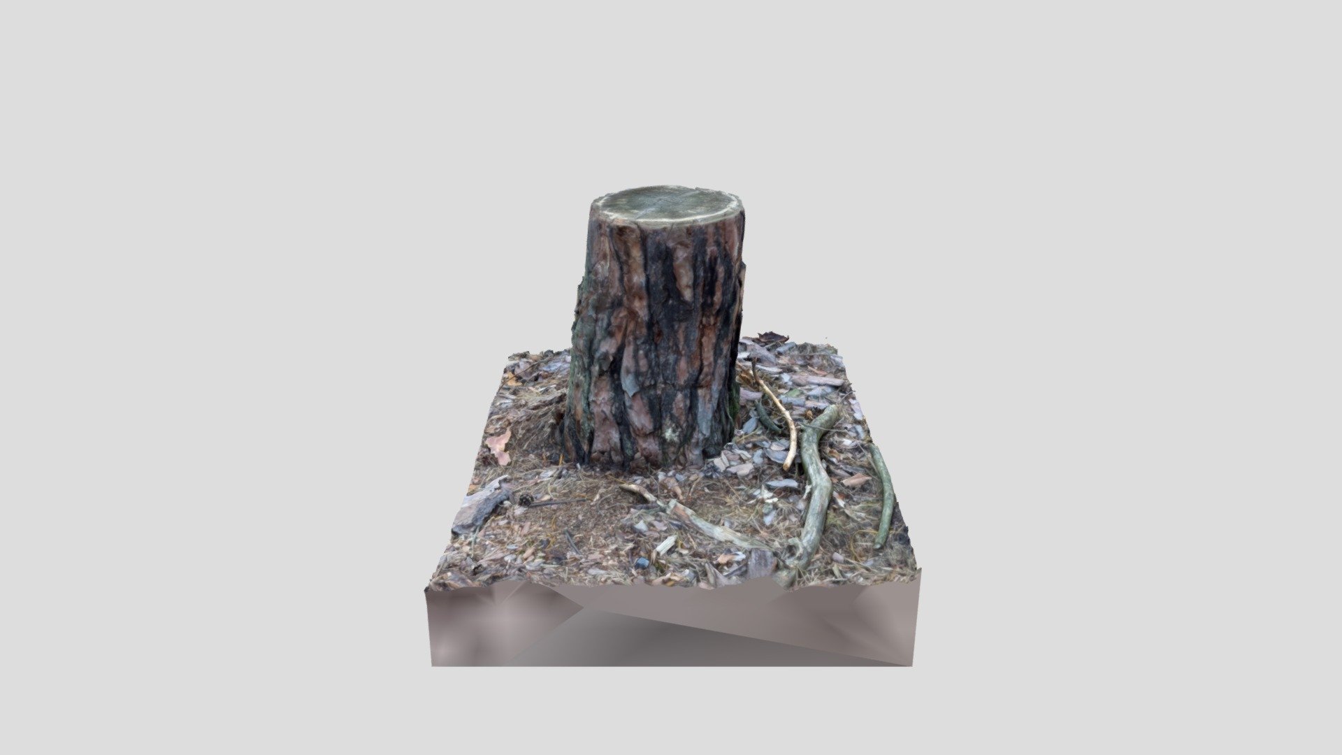 Stump #3 - 3D model by zdendal [358591b] - Sketchfab