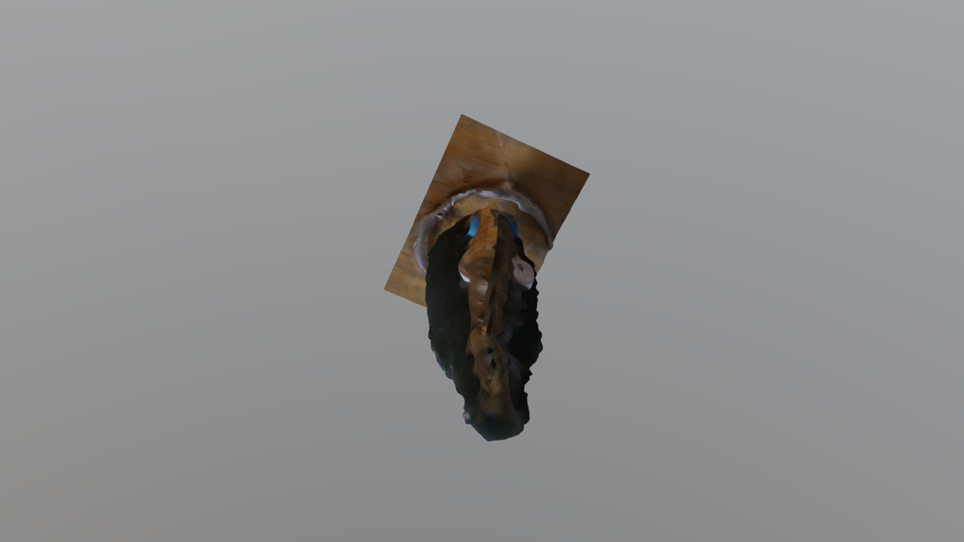 clay model - 3D model by skizzneena [3591b61] - Sketchfab