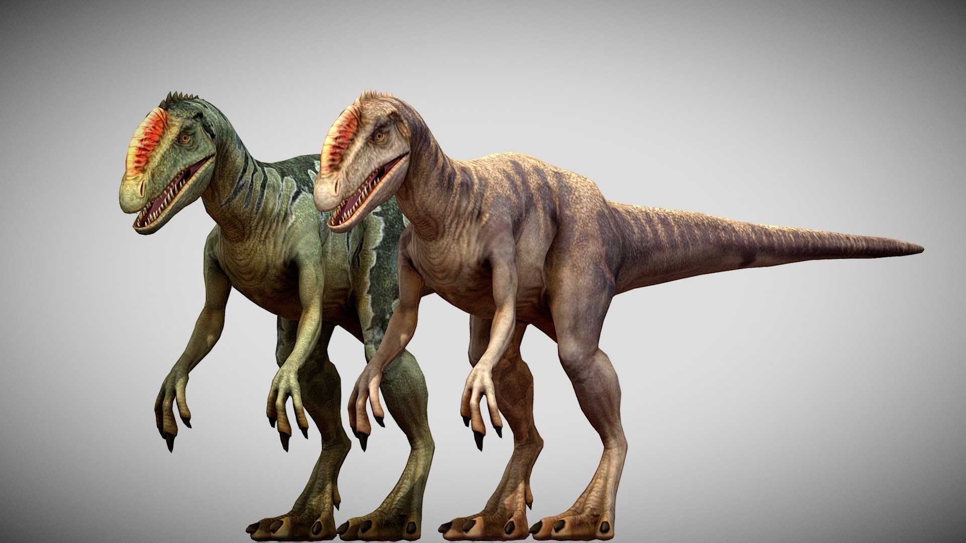JW: PO Sinosaurus - Download Free 3D model by AllThingsSaurus [35942ee ...