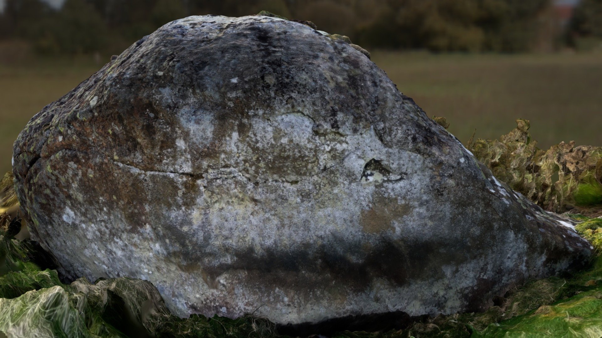 Pen y Castell Boulder - Download Free 3D model by Megalith Archive ...