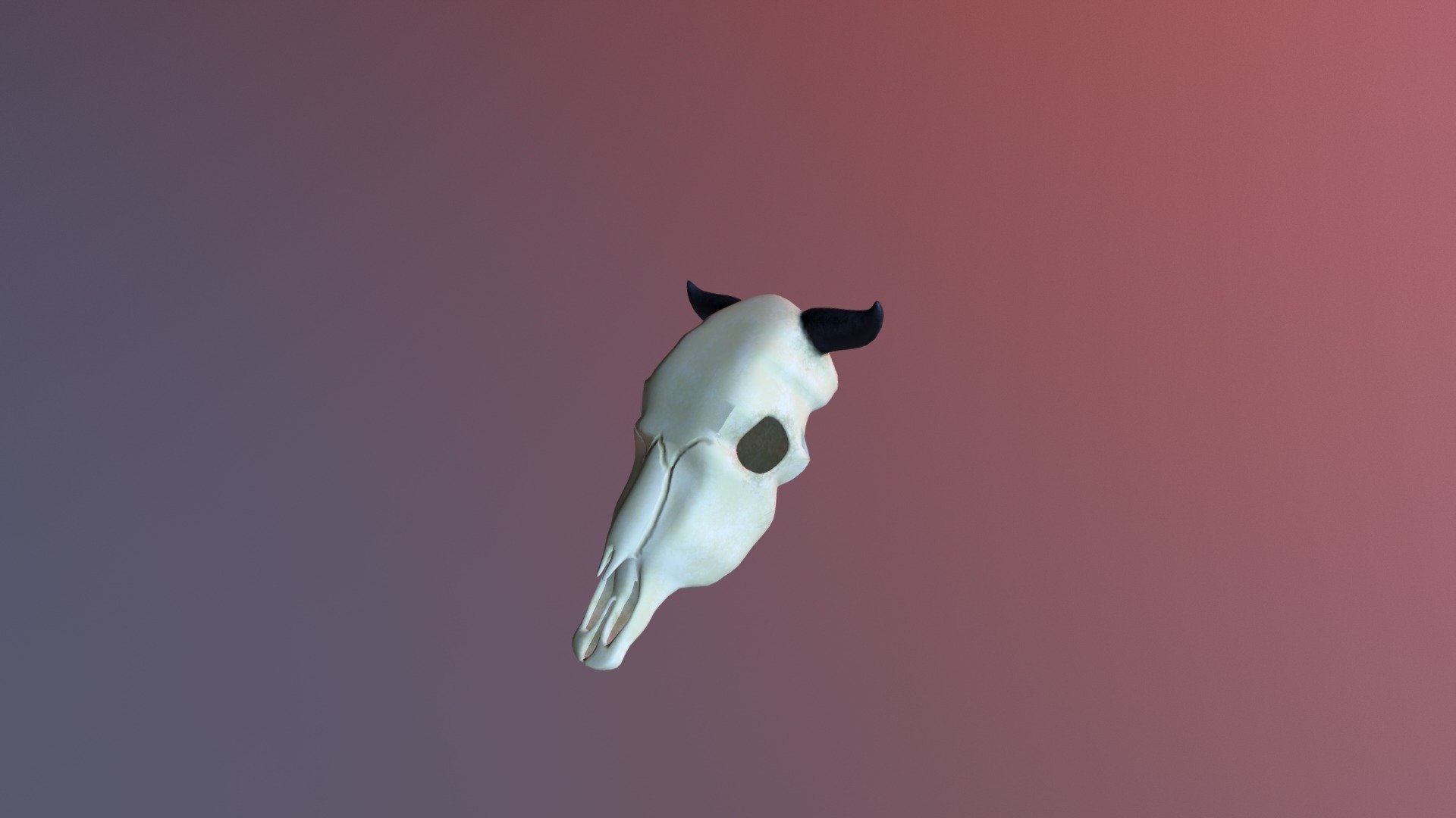 Cow Skull - 3D model by AmberPfister [35a508e] - Sketchfab