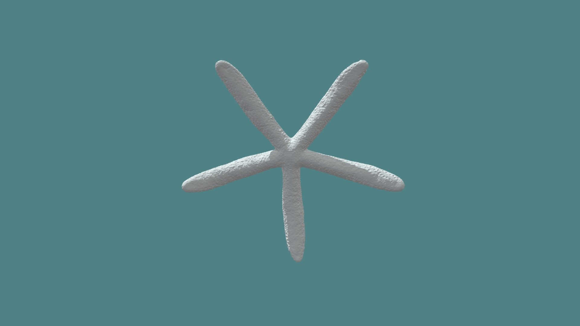 Starfish - Light scan of sea star - 3D model by Heritage 3D (@Heritage ...