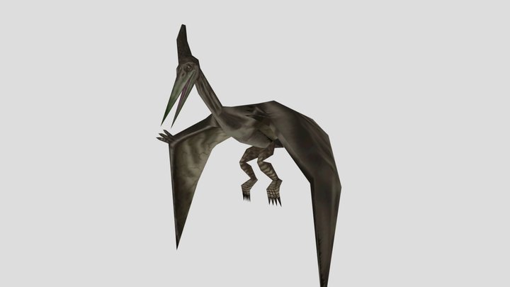 Pterosaur 3D models - Sketchfab