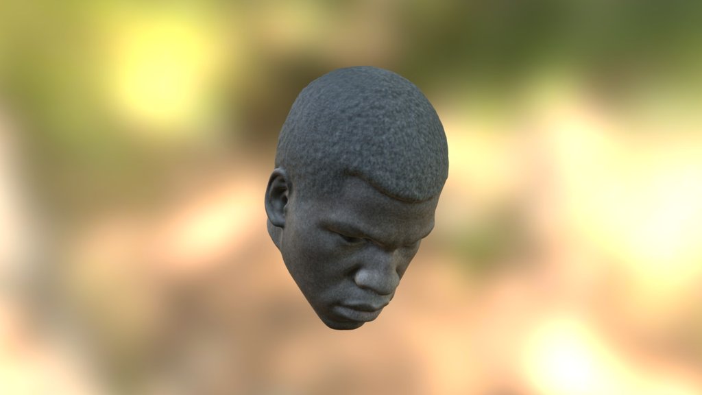 Low Res version Finn Head Hot Toys 3D Scan - 3D model by jason@formwurx ...
