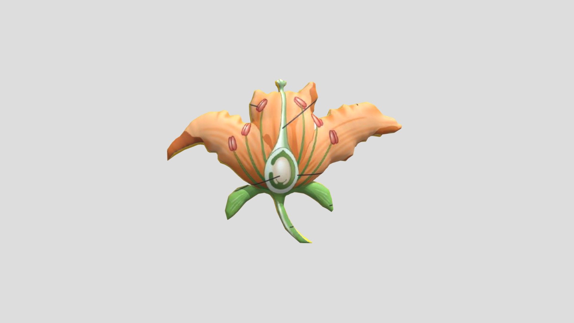 bunga - 3D model by jihanal10 [35ba58a] - Sketchfab