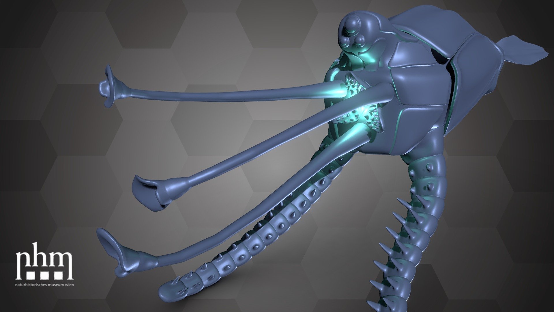 Venator magnus - 3D model by Natural History Museum Vienna (@NHMWien ...