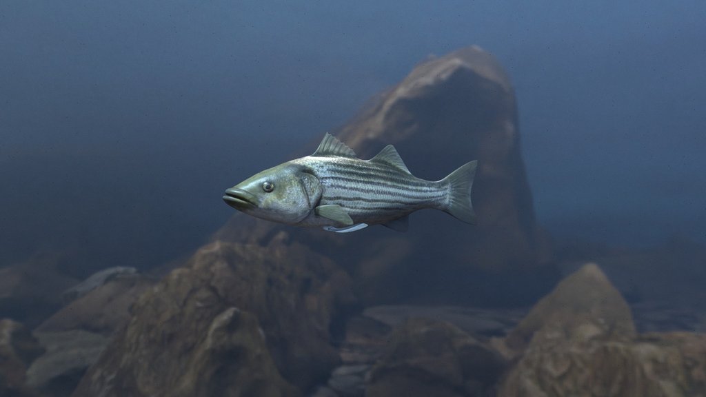 river system background - A 3D model collection by DigitalLife3D ...