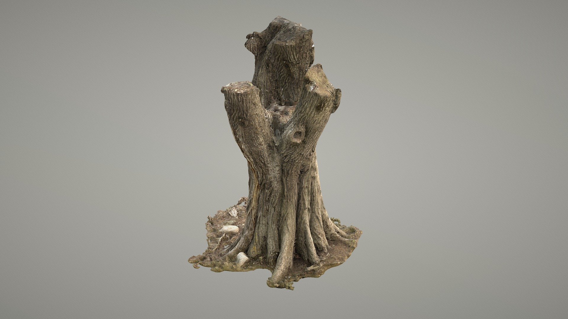 Large Oak Tree - Download Free 3D model by wickens (@Wickens-Studios ...