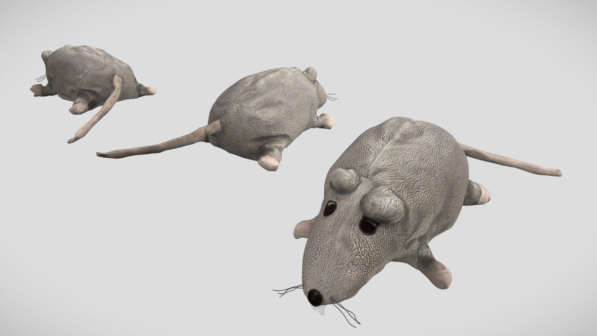 Soft Toy Rigged Rat - Download Free 3D model by Bigbigdog ...