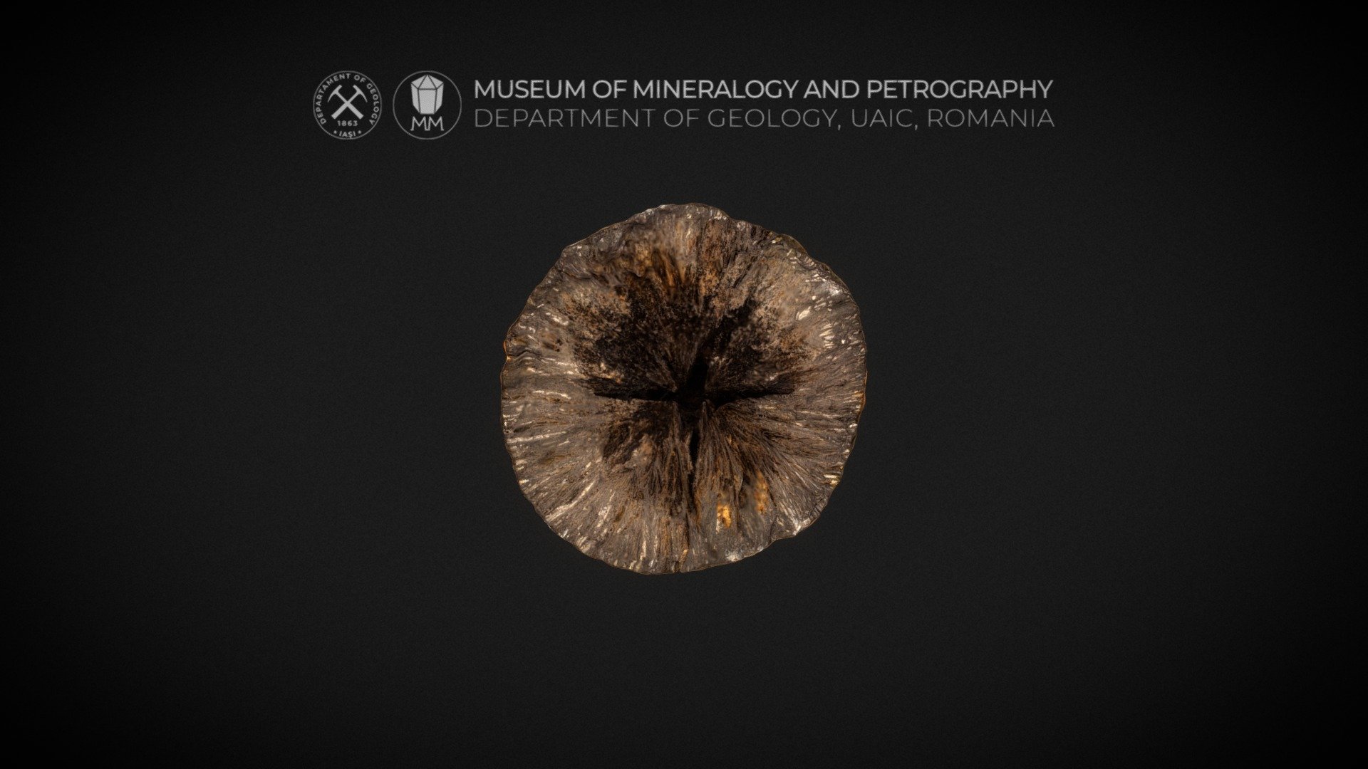 Apatite var. Phosphorite nodule (mineral + rock) - 3D model by Museum ...