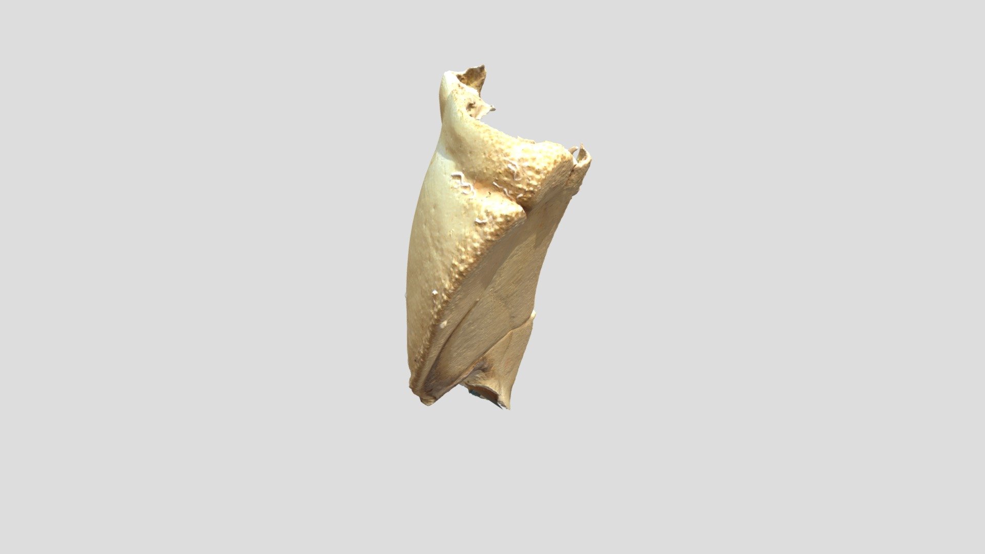 Claw A - 3D model by Lapis Design (@LapisDesign) [35d333f] - Sketchfab