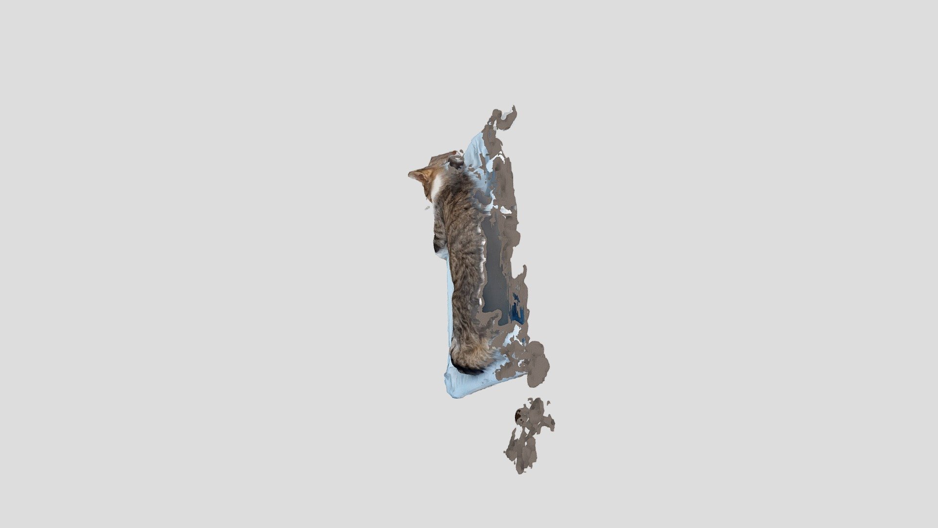Cat_sleep_textured_mesh_obj - 3D model by dmk (@.-_) [35d3bf5] - Sketchfab