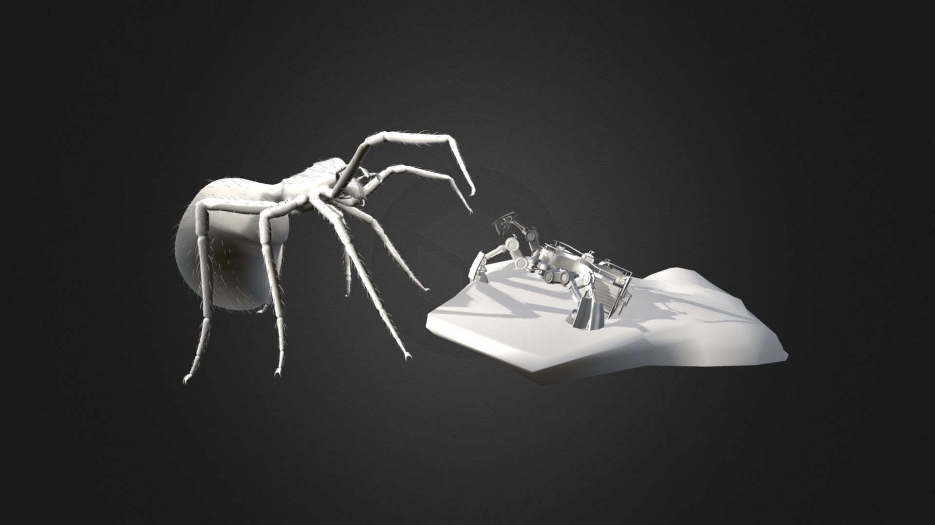 Spiders Fight - 3D model by cagri baskan (@cagr) [35d7bee] - Sketchfab