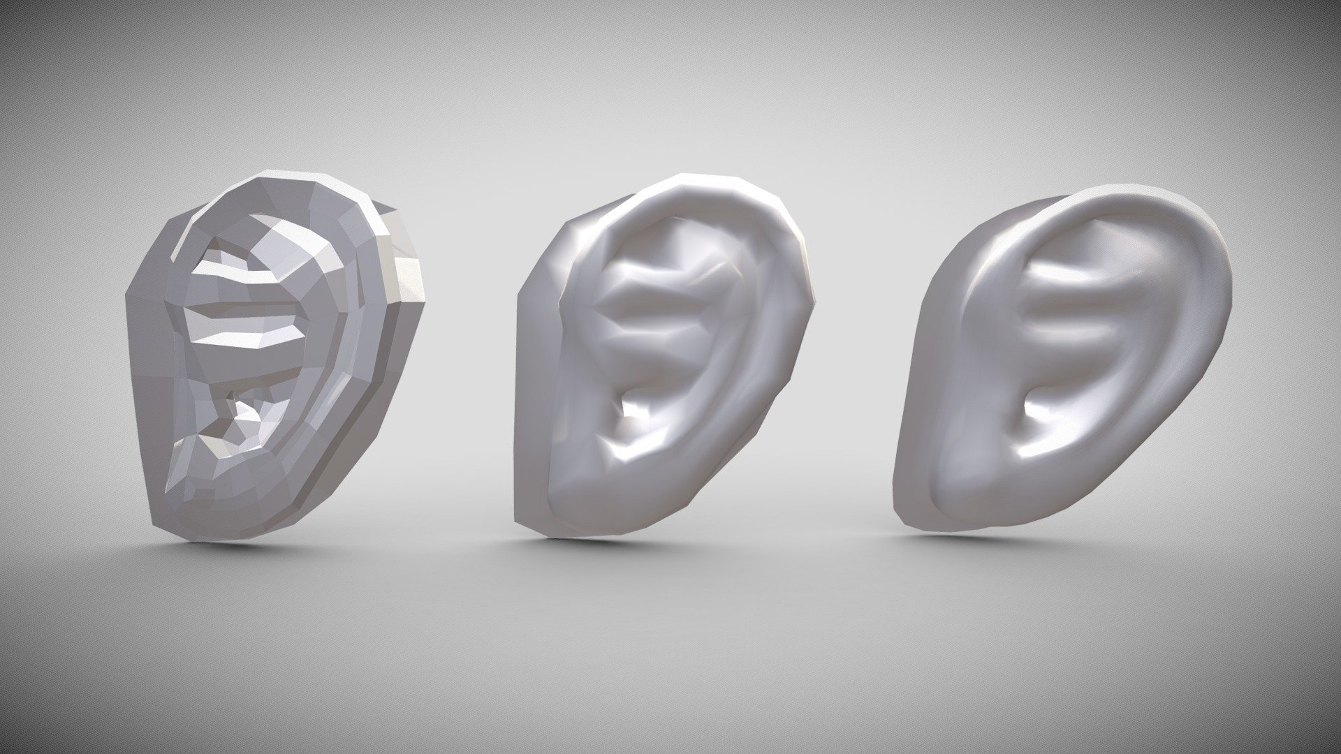 Ear topology - Download Free 3D model by Tengsu.MK [35dc080] - Sketchfab