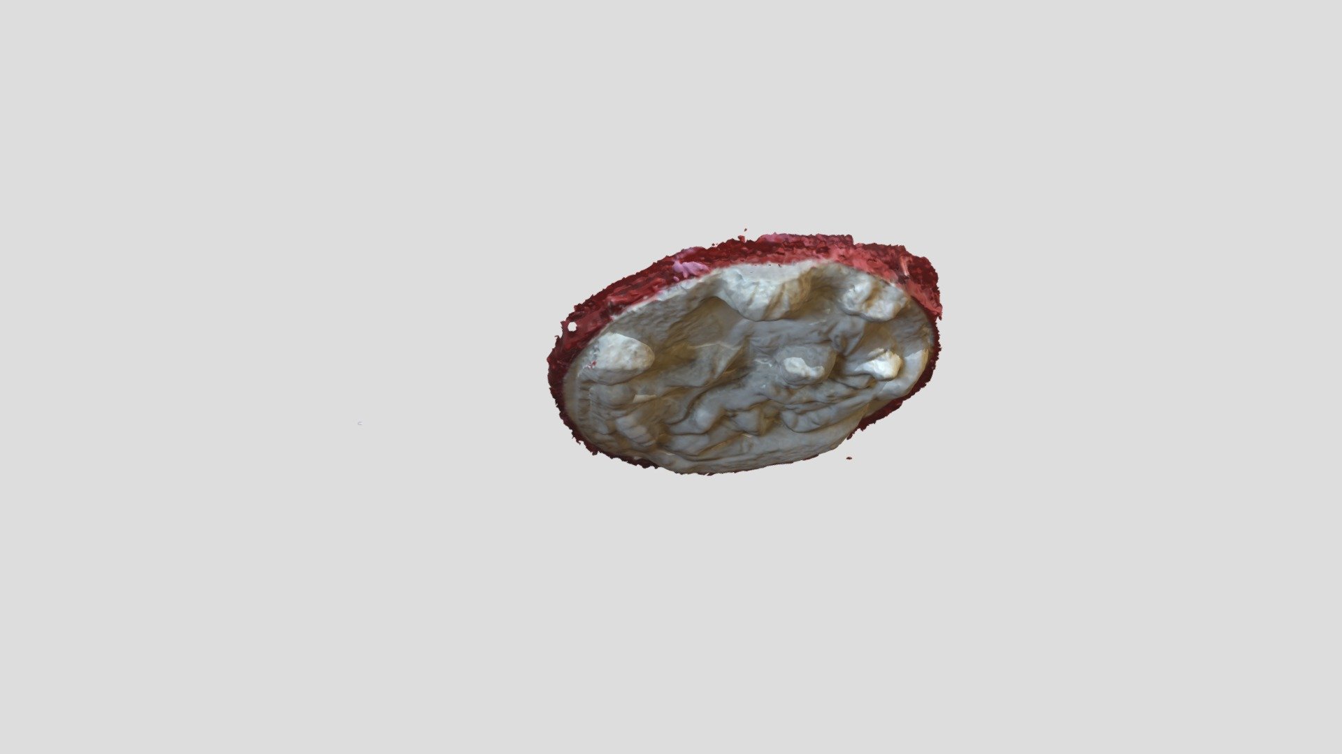 Scroope Taddei Tondo 5 - 3D model by donalcooper [35dfbee] - Sketchfab