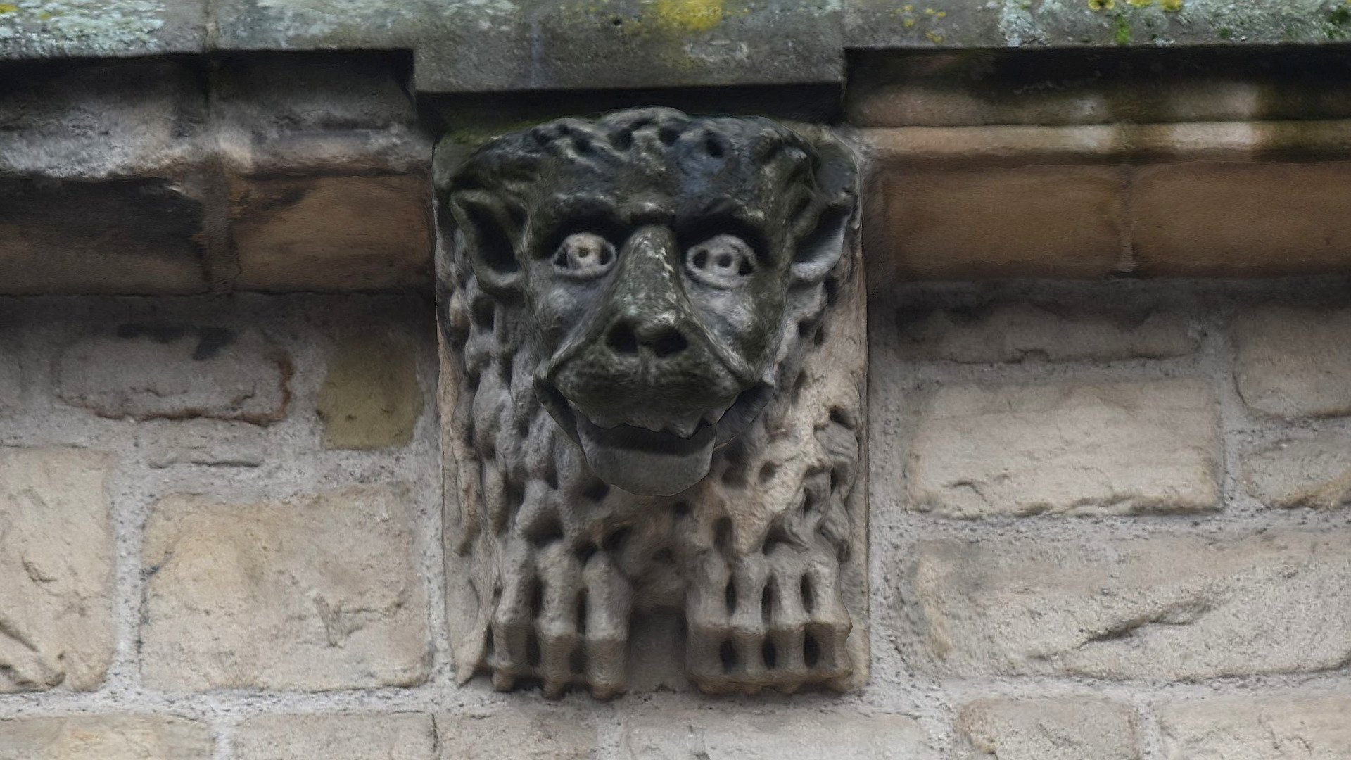 Lion grotesque, St Nicholas Church, Durham - 3D model by squeakingcat ...