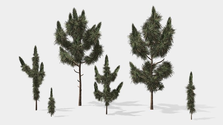 3d-tree 3D models - Sketchfab