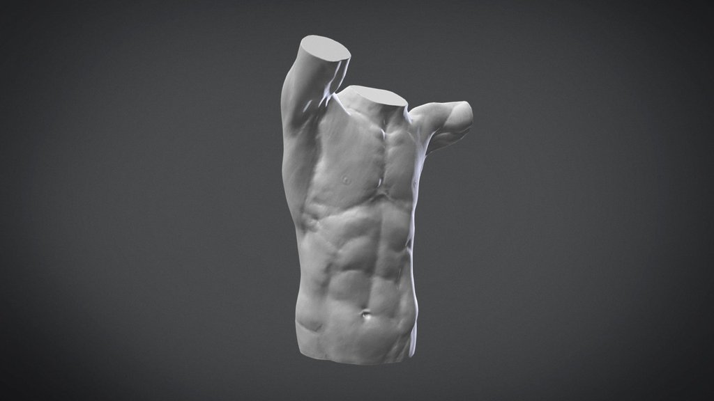 Male torso - 3D model by arnaudlonys [35fbb22] - Sketchfab