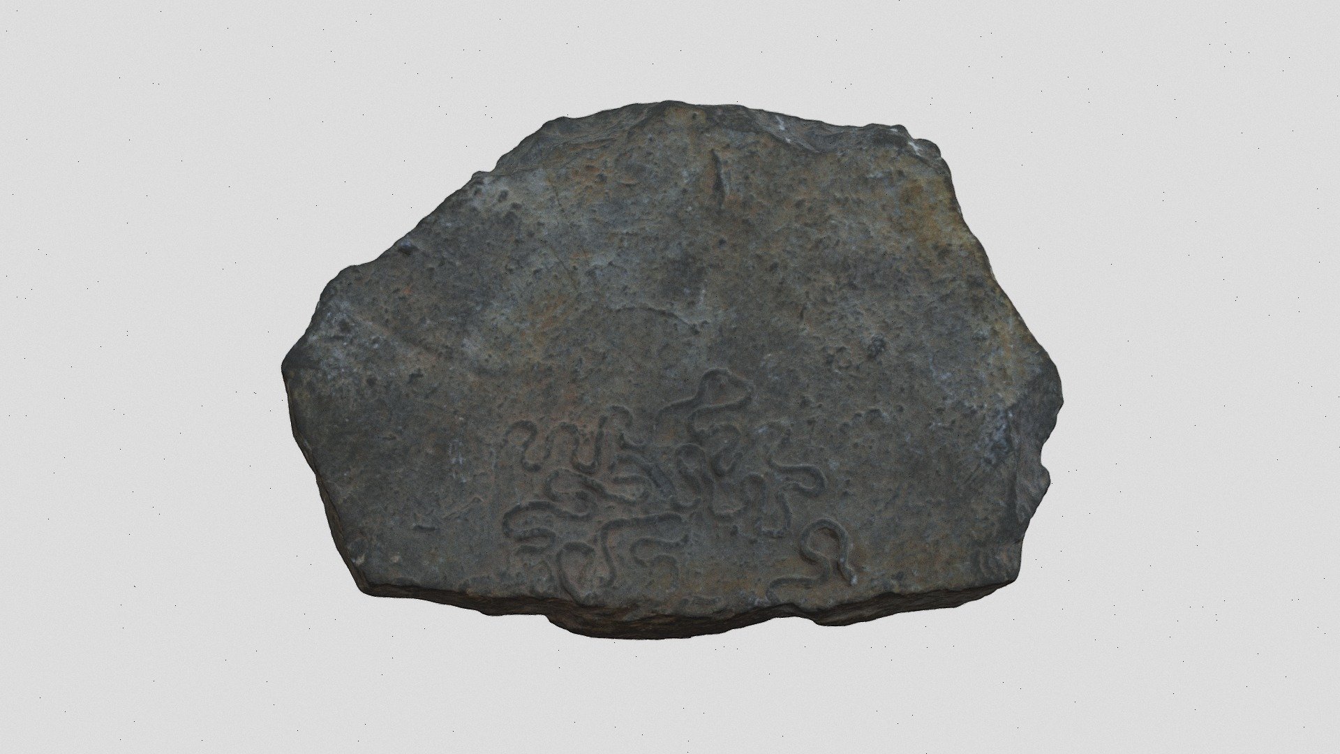 Cosmorhaphe - Download Free 3D model by Atlante virtuale 3D Geoscienze ...