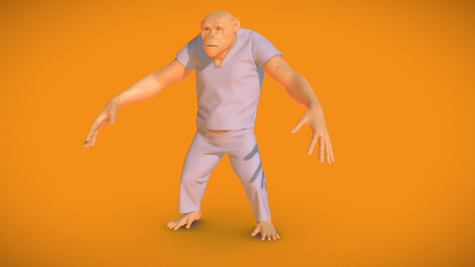 Chimp - Buy Royalty Free 3D model by Marcel Schanz (@mschanz) [360a9ae ...