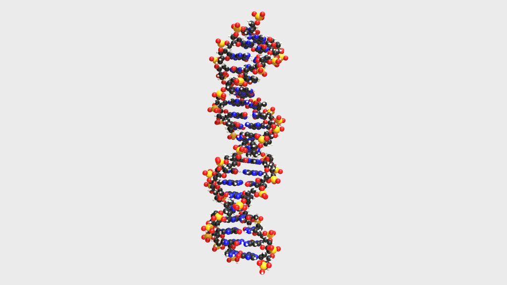 Macromolecules - A 3D model collection by ndwallac79 - Sketchfab