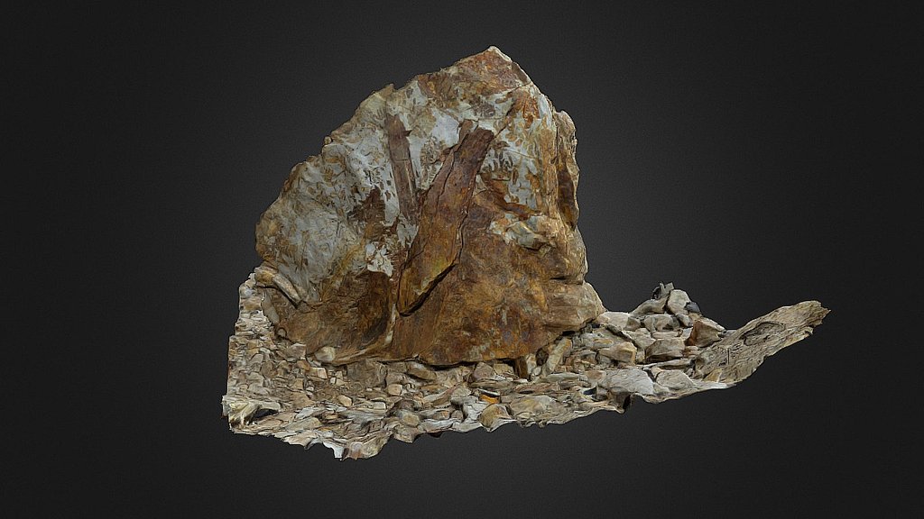 Sigillaria + Neuropteris -- Plant fossil - 3D model by García Ávila, M ...
