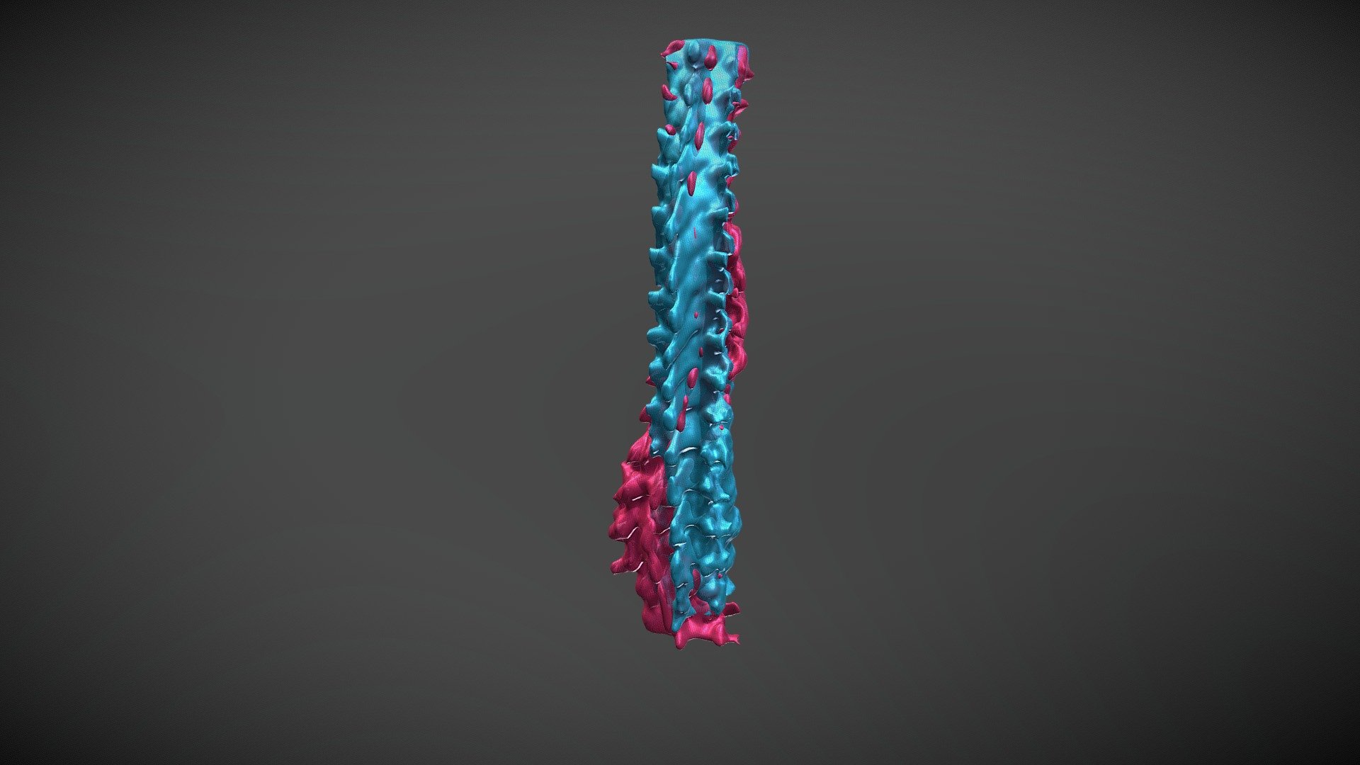 Straight and Curvy Spine Overlay Final - Download Free 3D model by ...