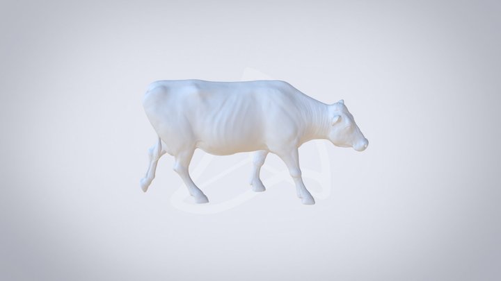 Vaca 3D models - Sketchfab