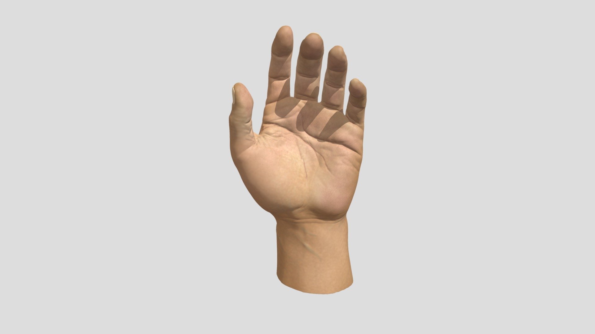 zbrush 2022 hand modeling - 3D model by NADO3D (@nadoplc) [3623c4a ...