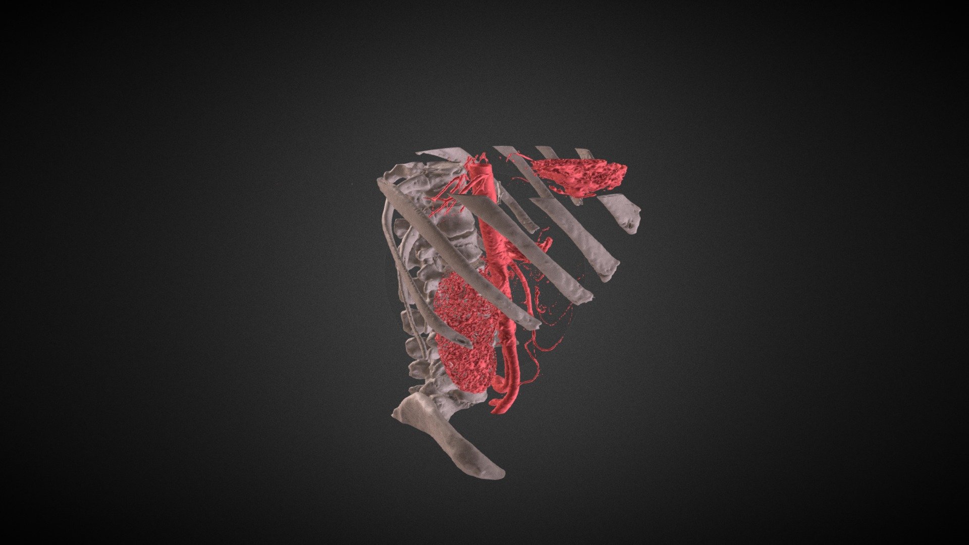 AS5 - 3D model by Dara Walsh (@dara.walsh) [36245f2] - Sketchfab