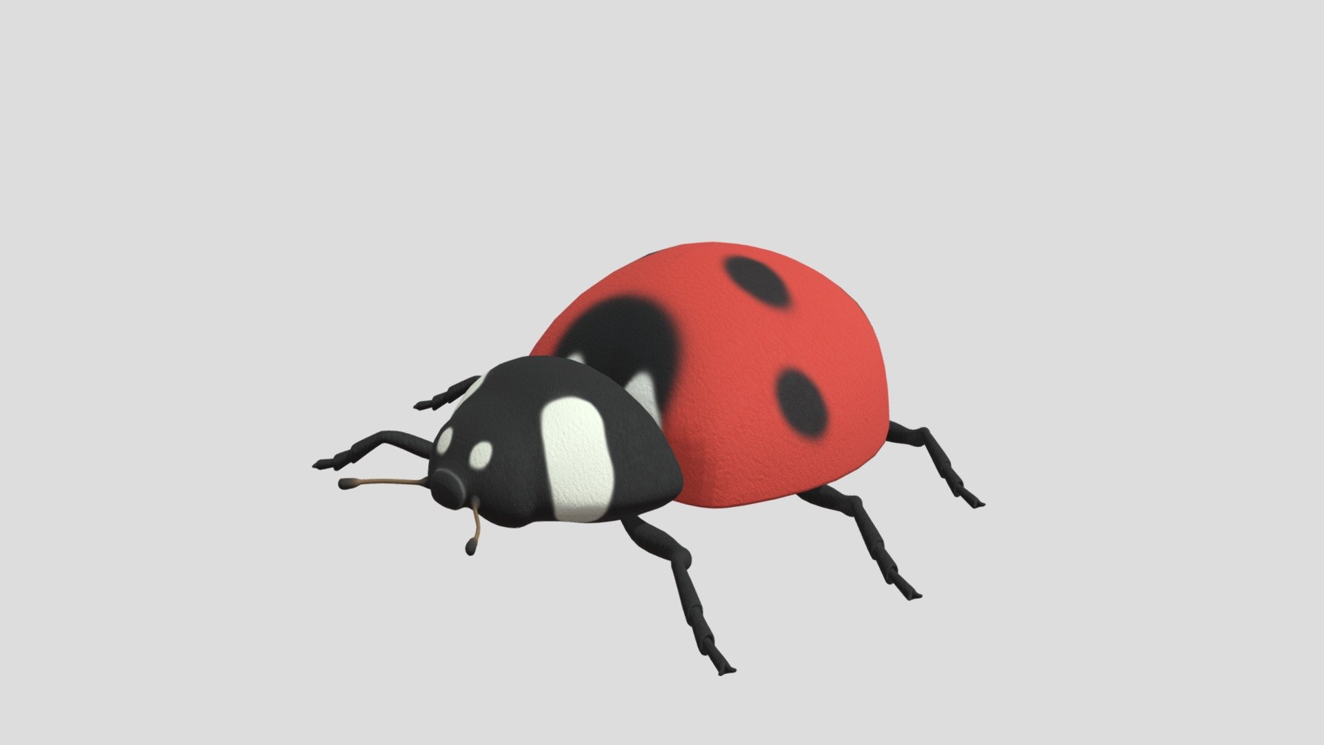 Ladybug - Buy Royalty Free 3D model by Ed+ (@EDplus) [362c4fd ...