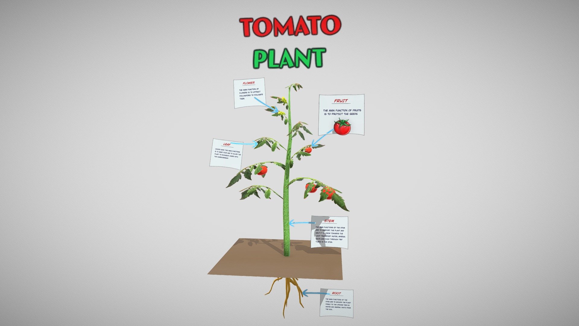 Part of Plant - 3D model by Vivien (@Kowie) [3632f71] - Sketchfab