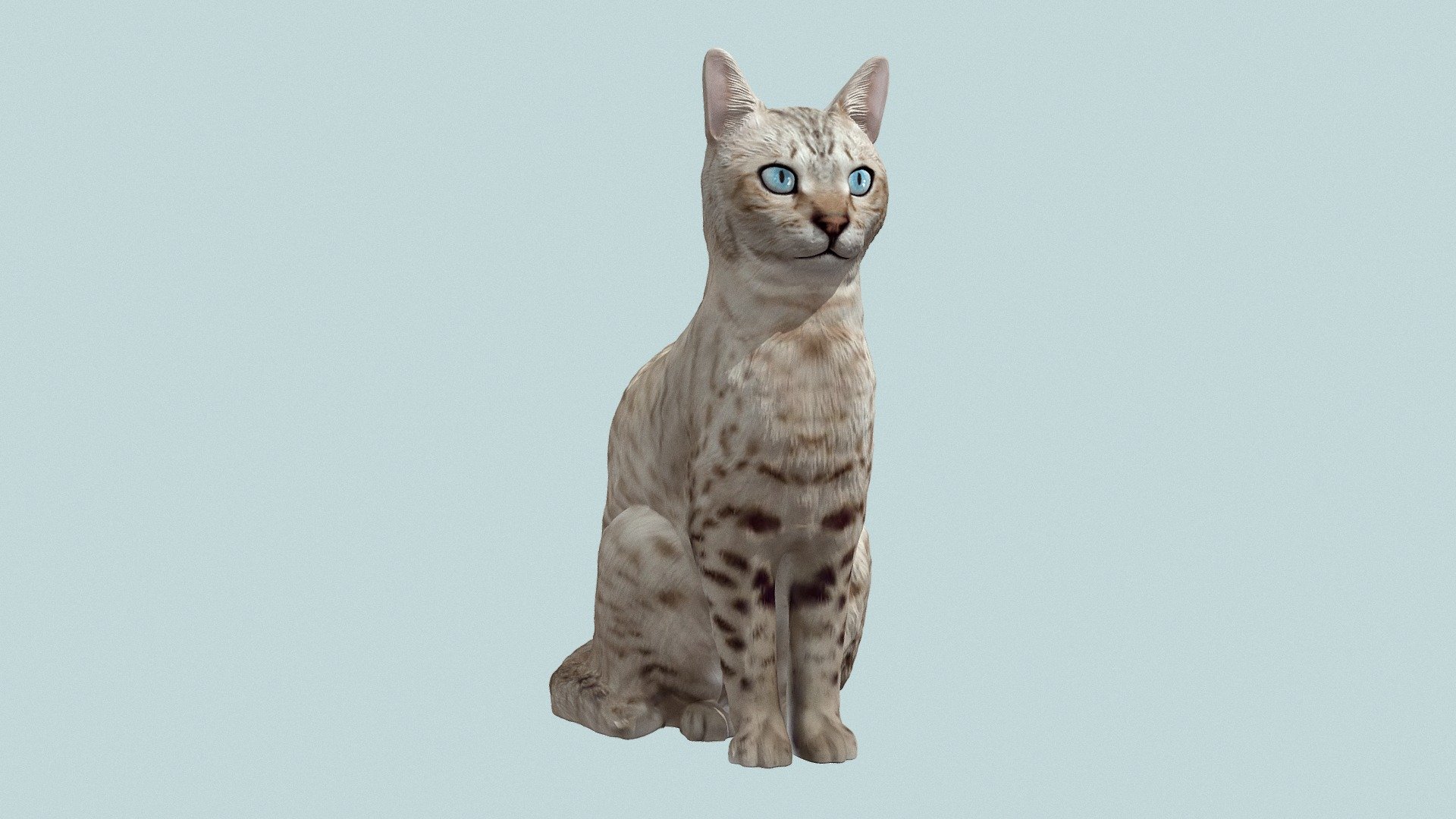 2002010-01 Bob Cat_v3 - 3D model by Arty Lobster - Pet Sculptures Made ...