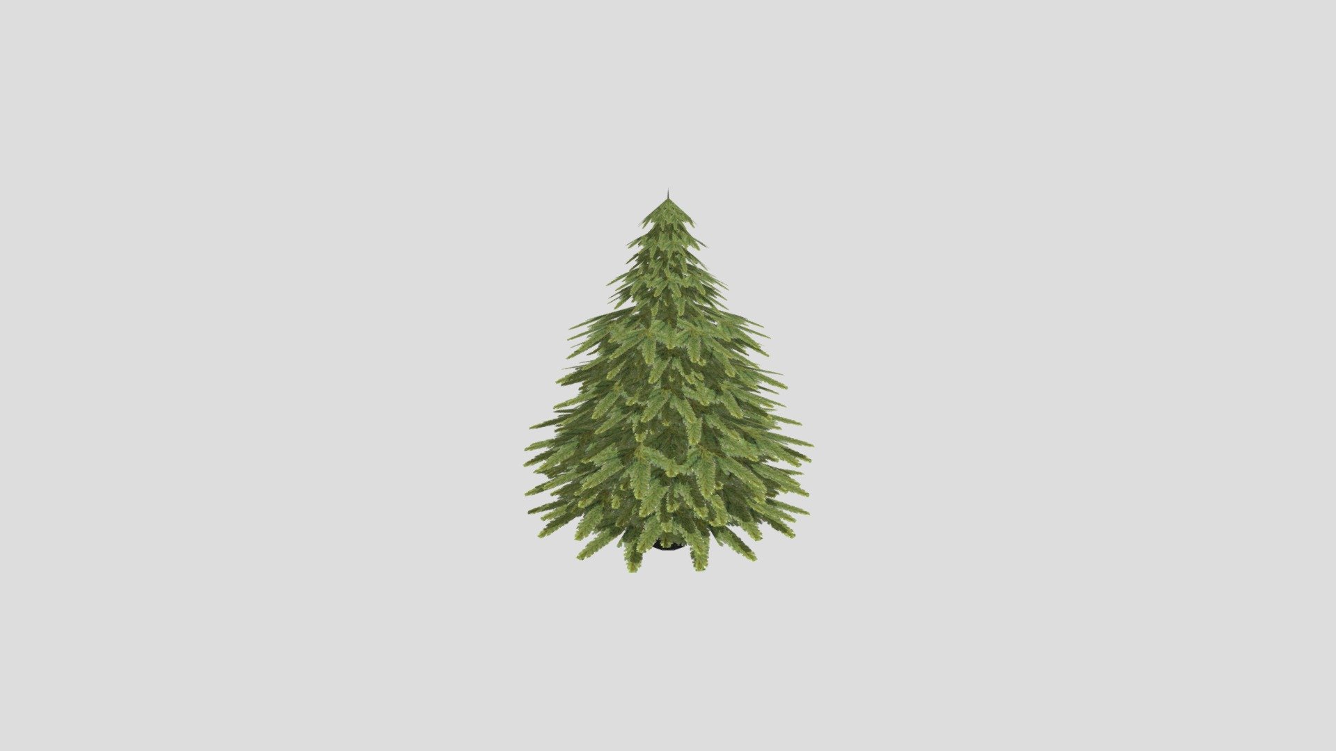 Tree1 - 3D model by matupper [3642add] - Sketchfab