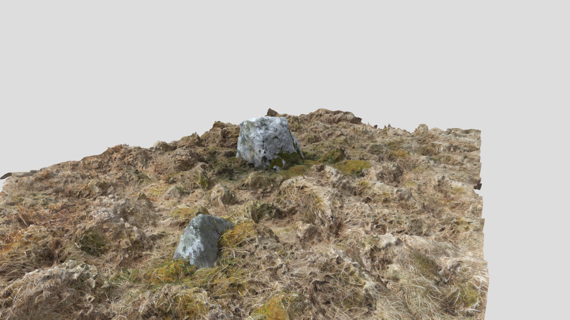 Disgwylfa Fach Stone Row - Download Free 3D model by Heritage Together ...
