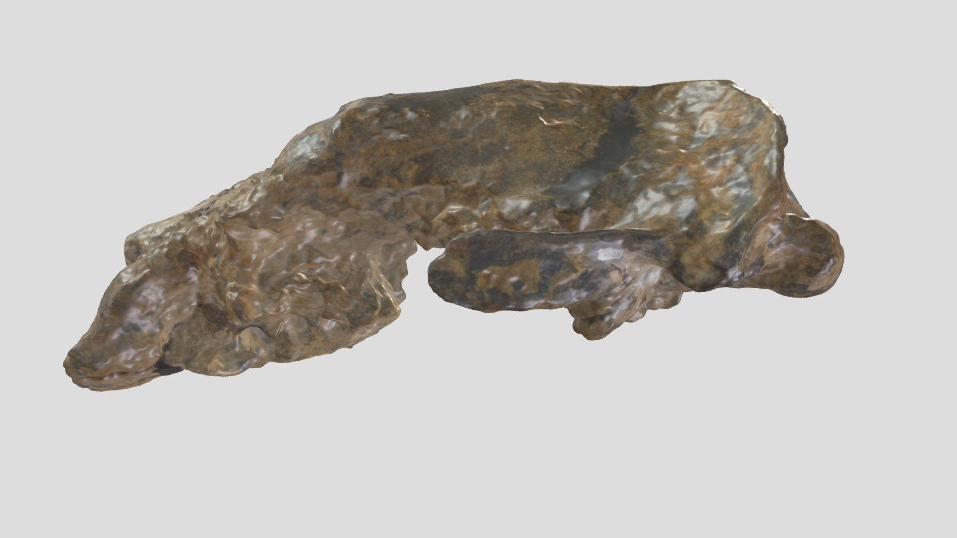 Sloth skull (Mylodon armatus) - 3D model by Palaeontological Collection ...