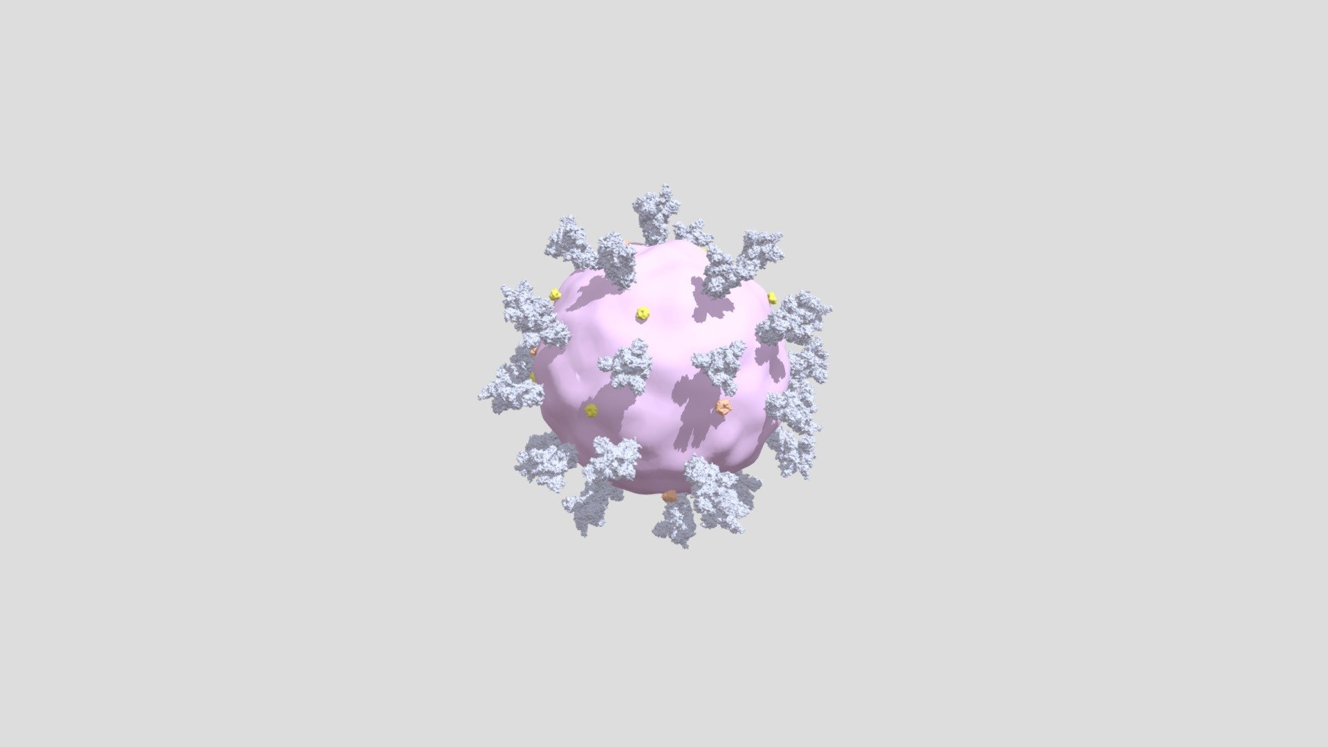 SARS-COV-2 - 3D model by stacygres [3652331] - Sketchfab