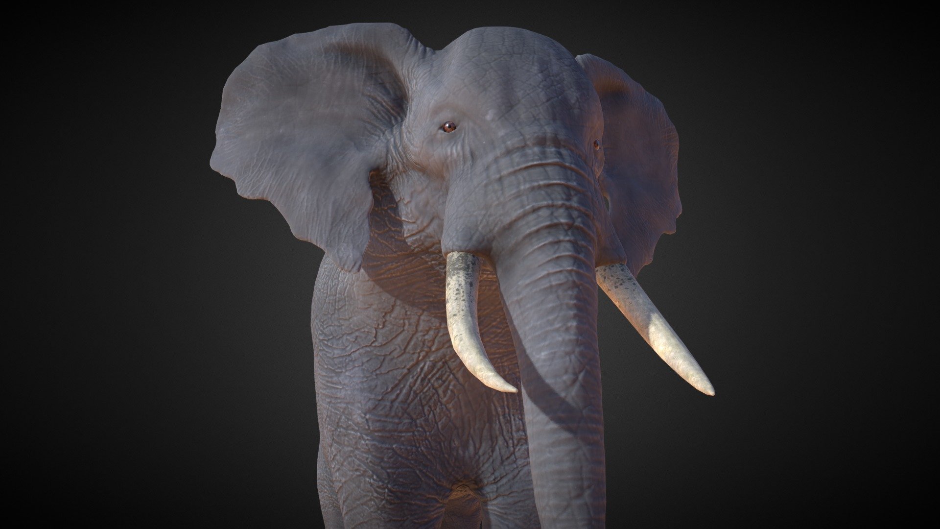 African Elephant - Buy Royalty Free 3D model by UC9000 [36526d4 ...