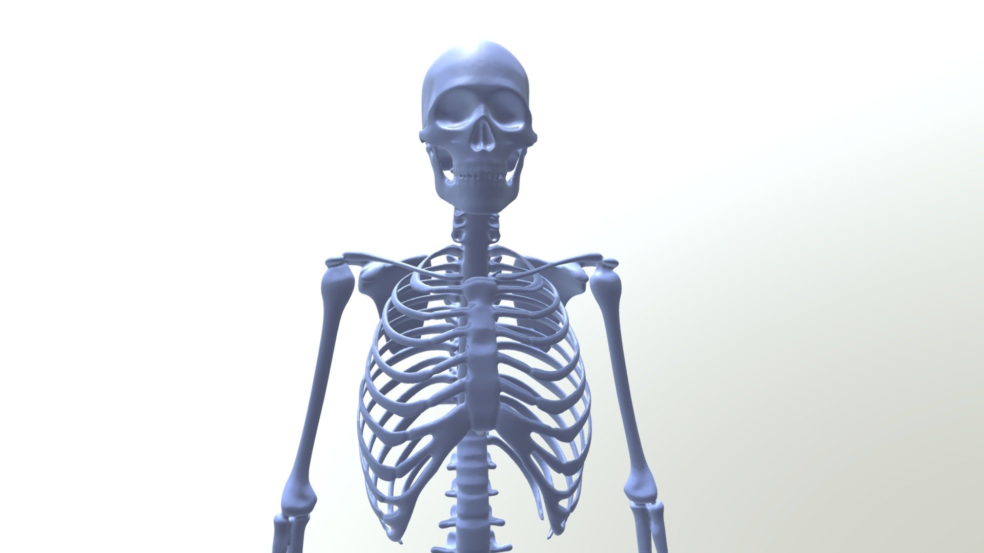 MEN SKELETON - 3D model by odalina [3653e35] - Sketchfab