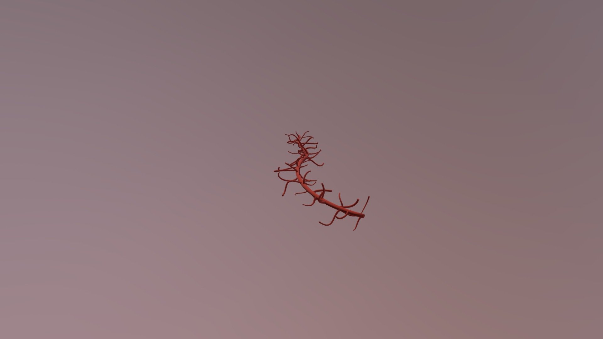 Speculative Organ/Parasite - 3D model by annielian [3655488] - Sketchfab