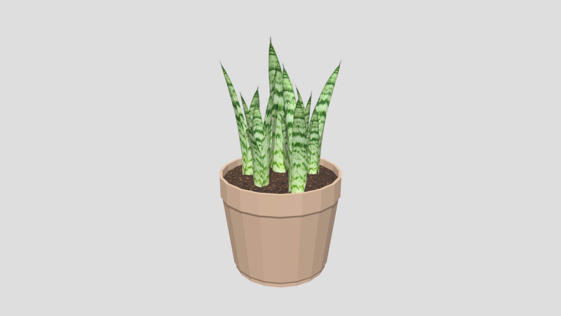potted snake plant - Download Free 3D model by Macknificent101 [3658f34 ...