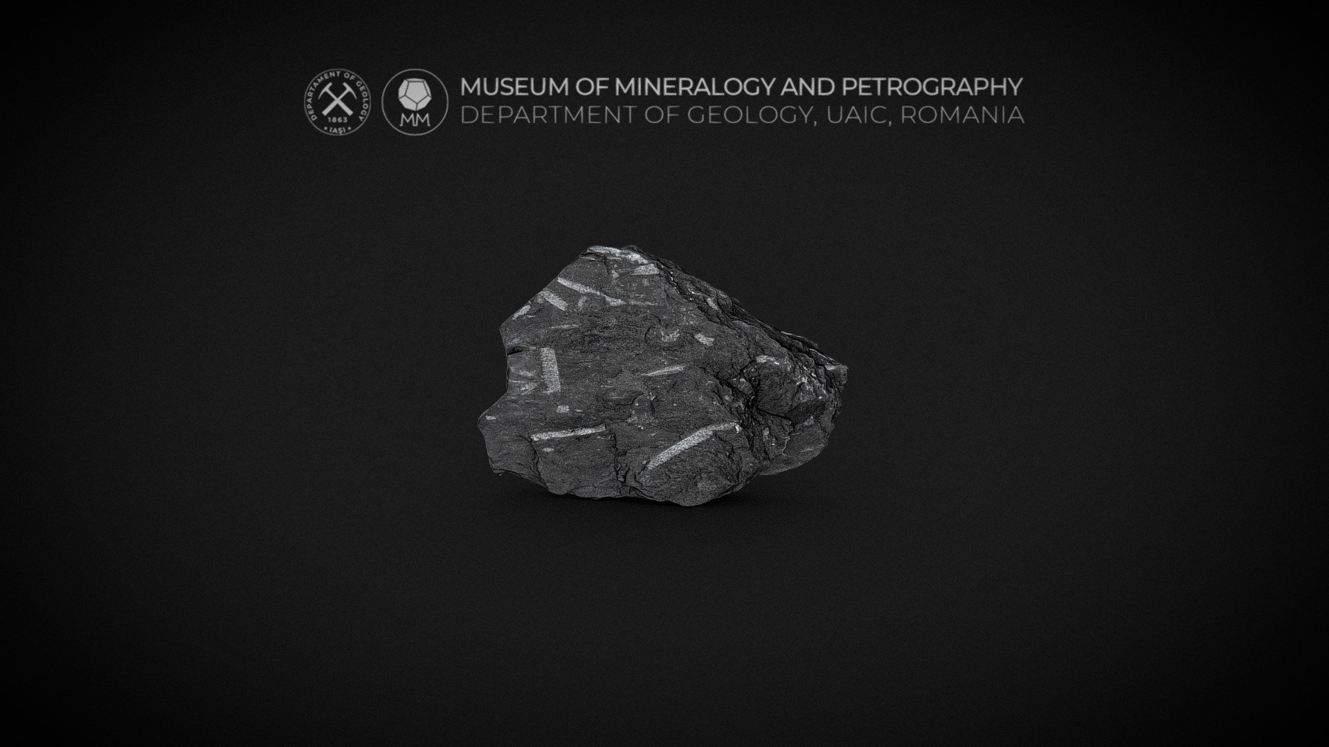Chiastolite Schist (metamorphic rock) - 3D model by Museum of ...