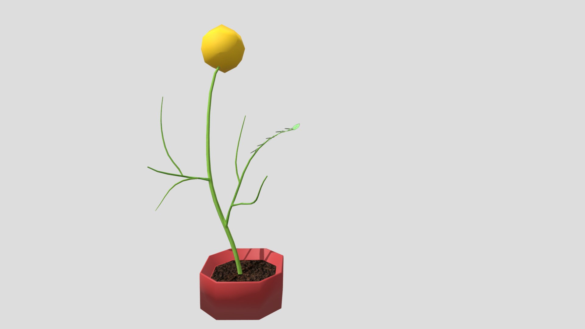 Flower - Download Free 3D model by 3DAlbayati [36717c4] - Sketchfab