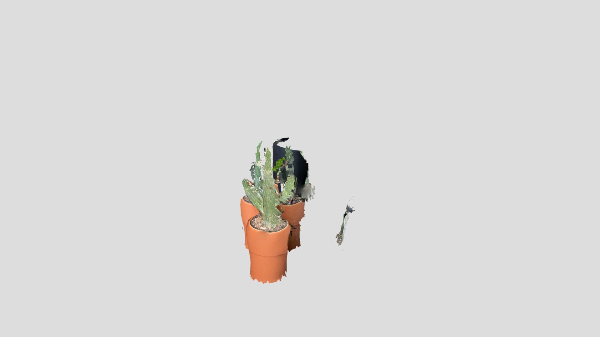 cactus - Download Free 3D model by Veronika Szkudlarek (@vszkudlarek) [36737de] - Sketchfab