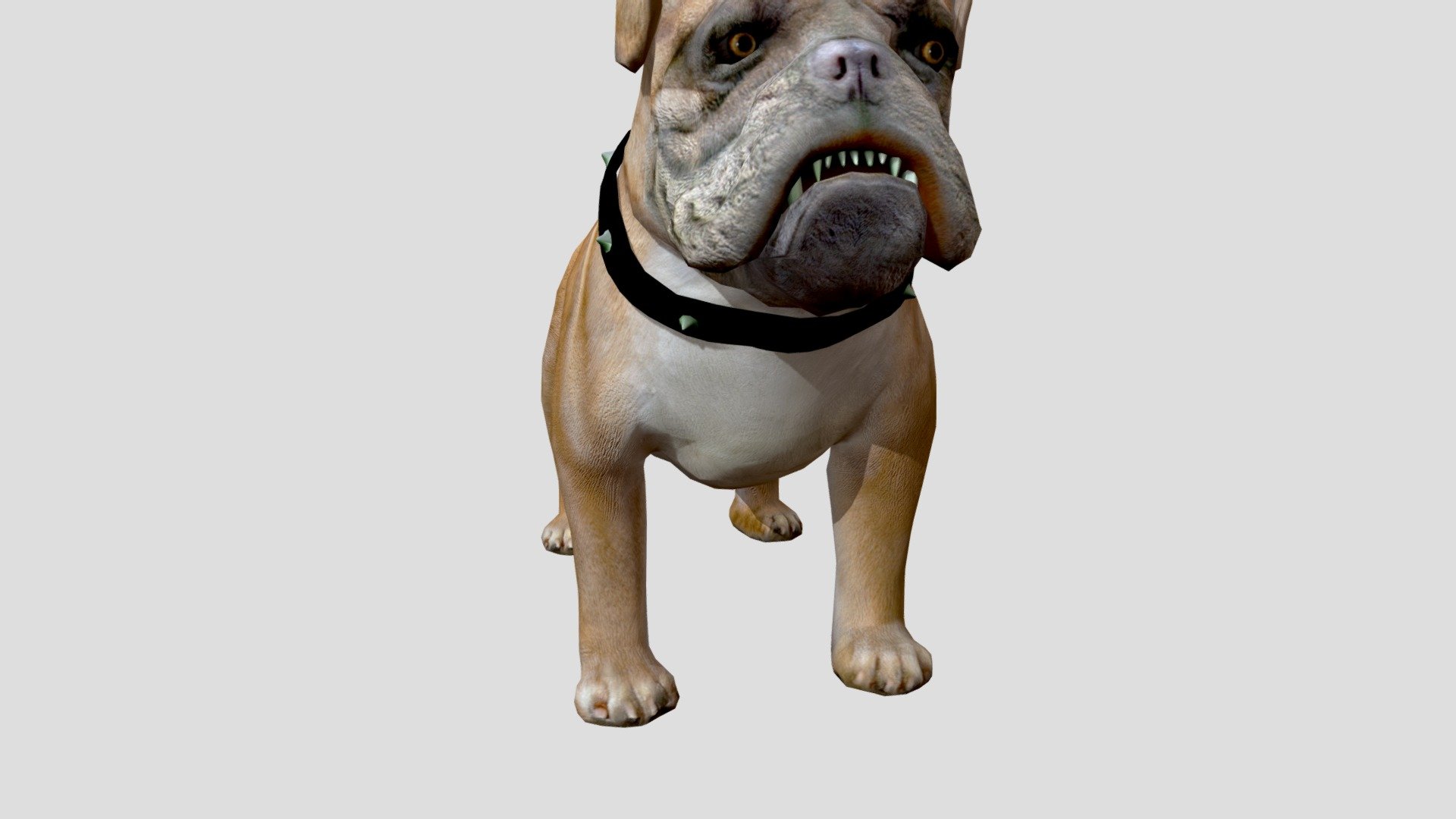 BULLDOG DOWNLOAD RIGGED ANIMATED - 3D model by Rdam 3D Pictures (@rdam ...