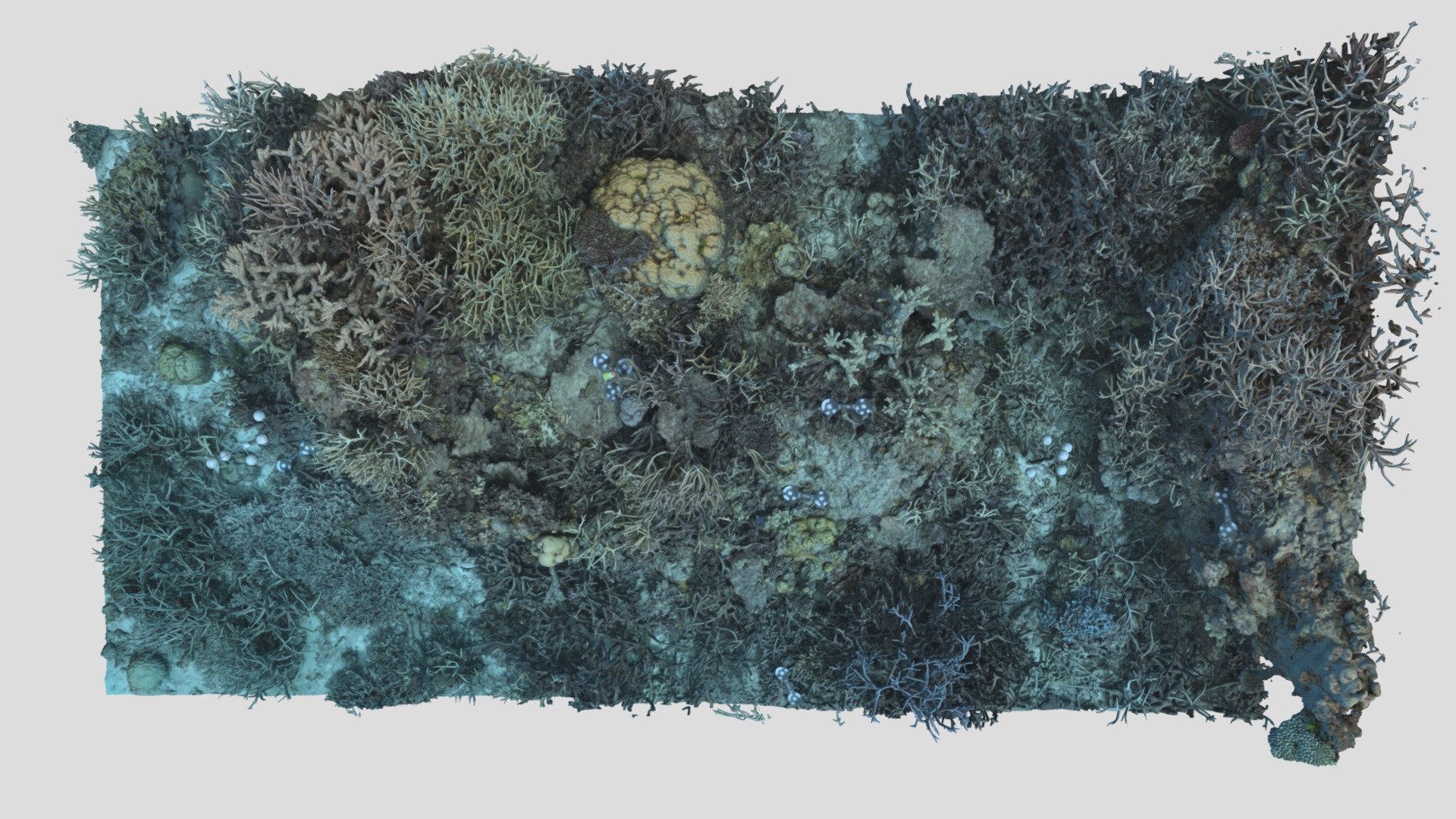 Davies_LA1S_P3_202301 - 3D model by EcoRRAP (@AIMSEcoRRAP) [3680c69 ...